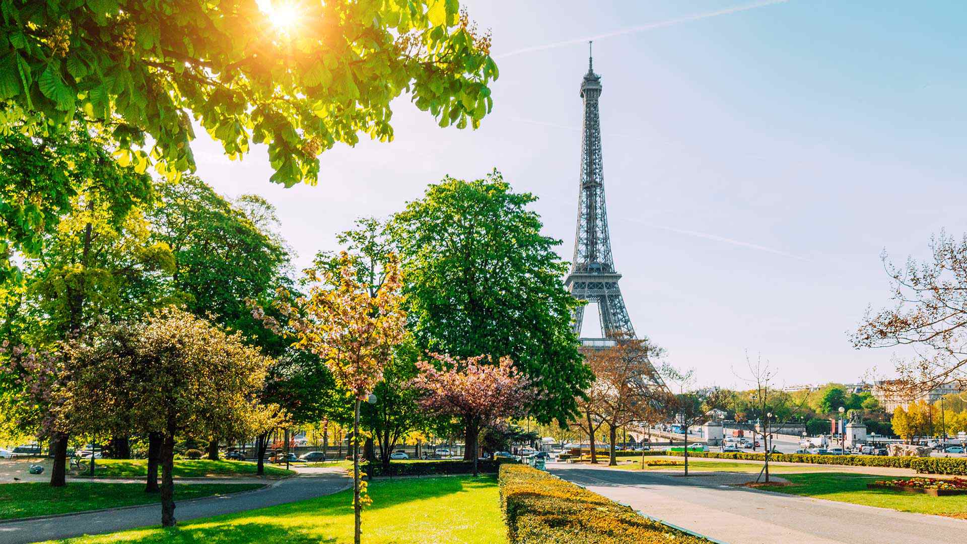 Resources - Tree Cities of the World
