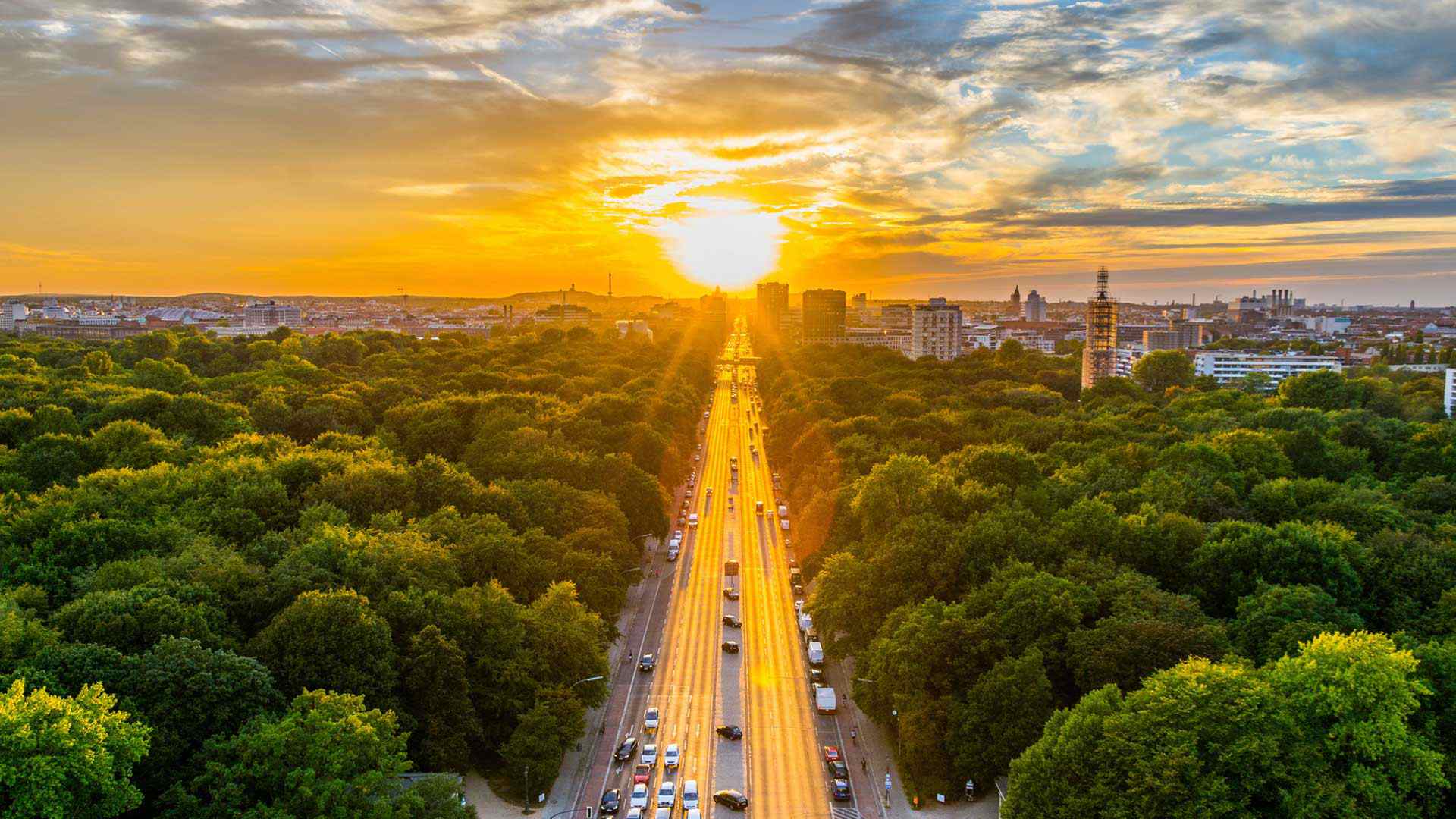 FAQs - Tree Cities of the World